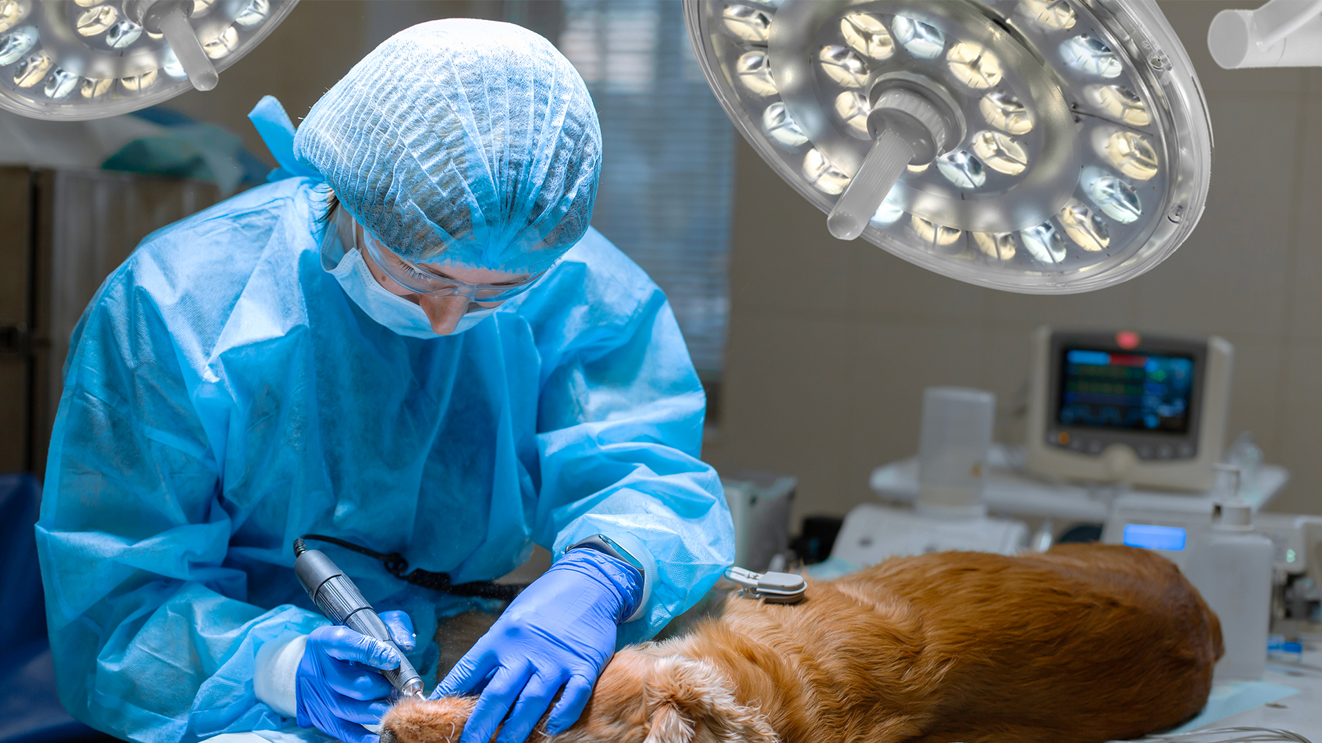 Veterinary lamps - RIMSA shop